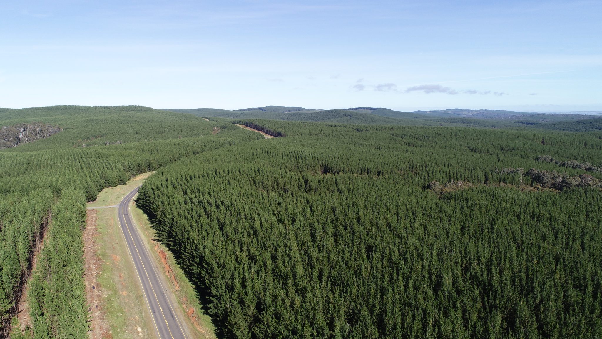 Bondo Wind Farm - Cleaner energy for NSW