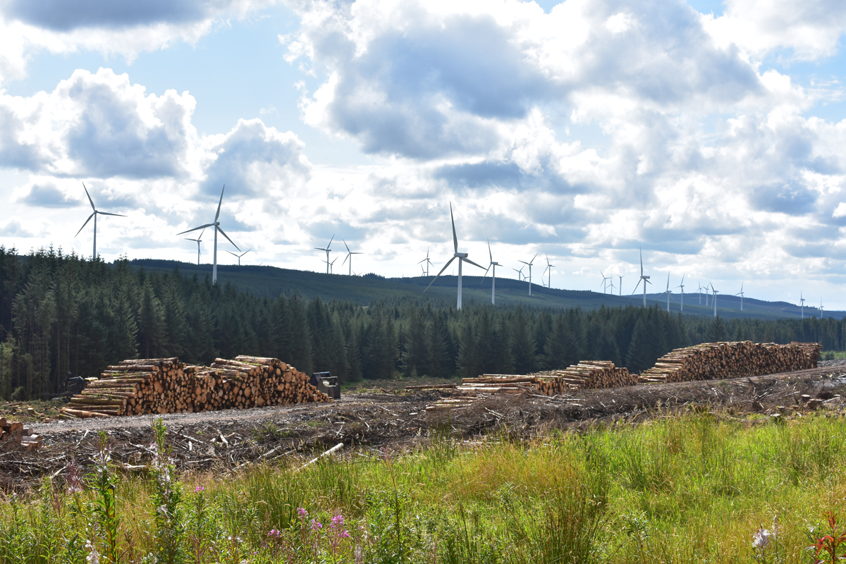 Early studies & investigations – Bondo Wind Farm